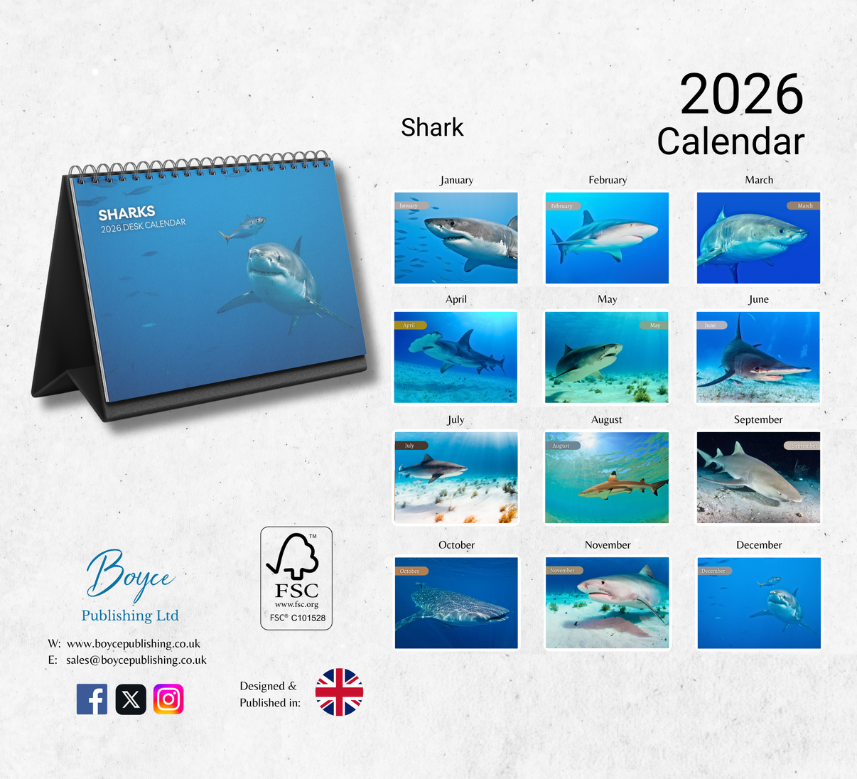 Shark Calendar 2026-2027: Standing Flip Desktop Calendar with Thick ...