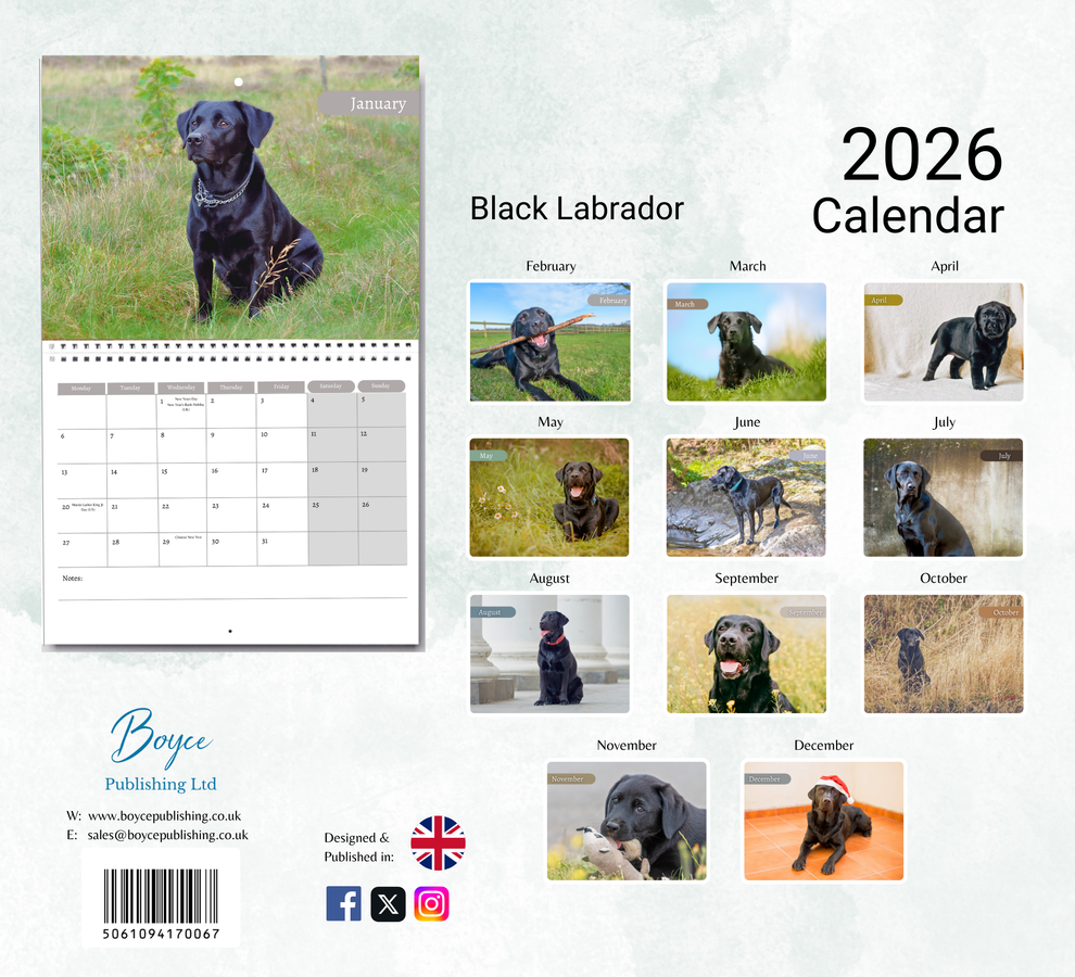 Black Labrador Calendar 2026: Monthly Wall Calendar with Notes, opens ...